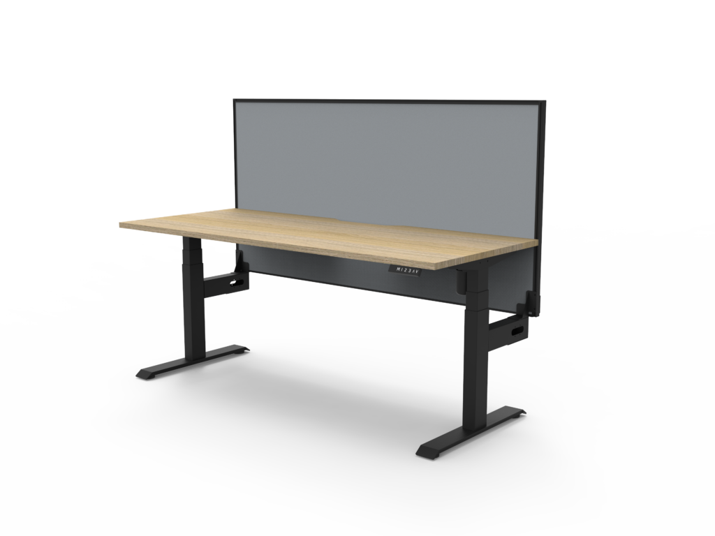 Budget Electric Height Adjustable Workstation with Screen - Xpert ...